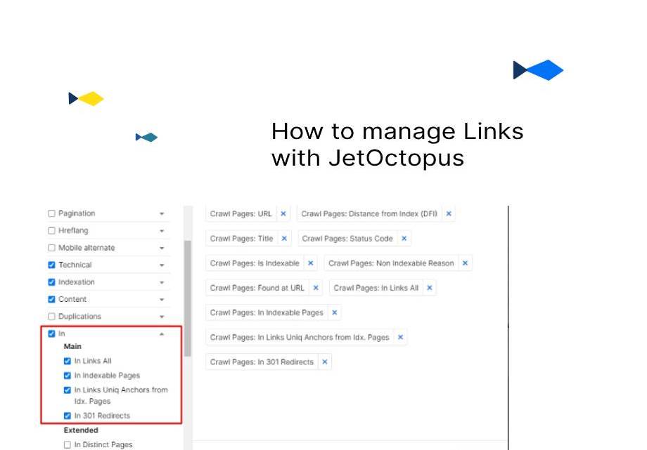 How to manage Links with JetOctopus